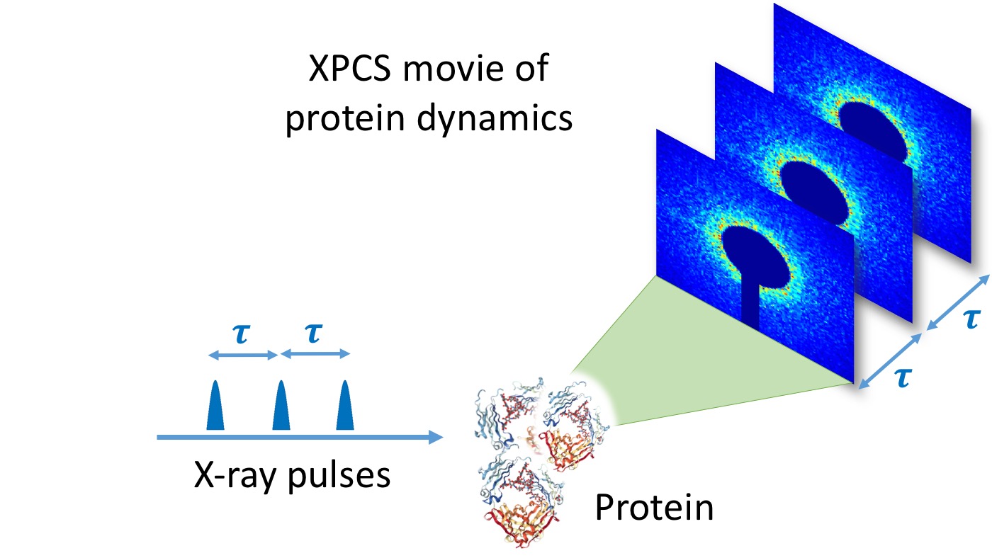 Research | Department Physik